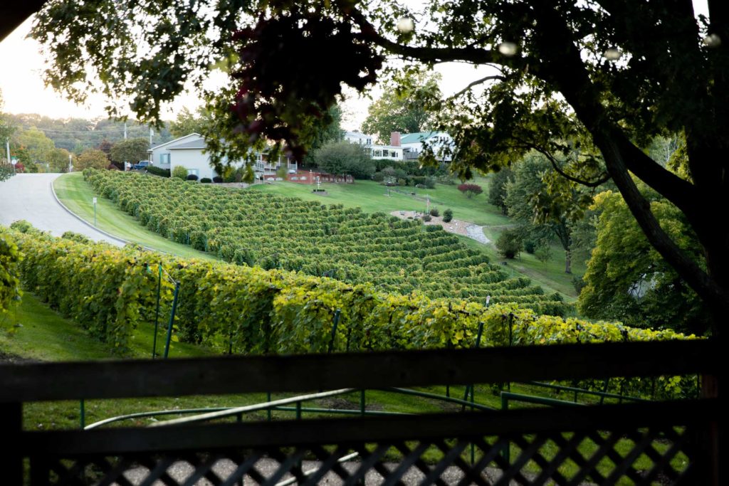 Visit | Stone Hill Winery